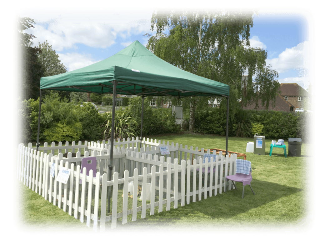 Mini-Farm-Set-up-(3) - The Reindeer Centre