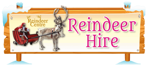 The Reindeer Centre - Hire Reindeer, Visit Santa, Interact with the animals